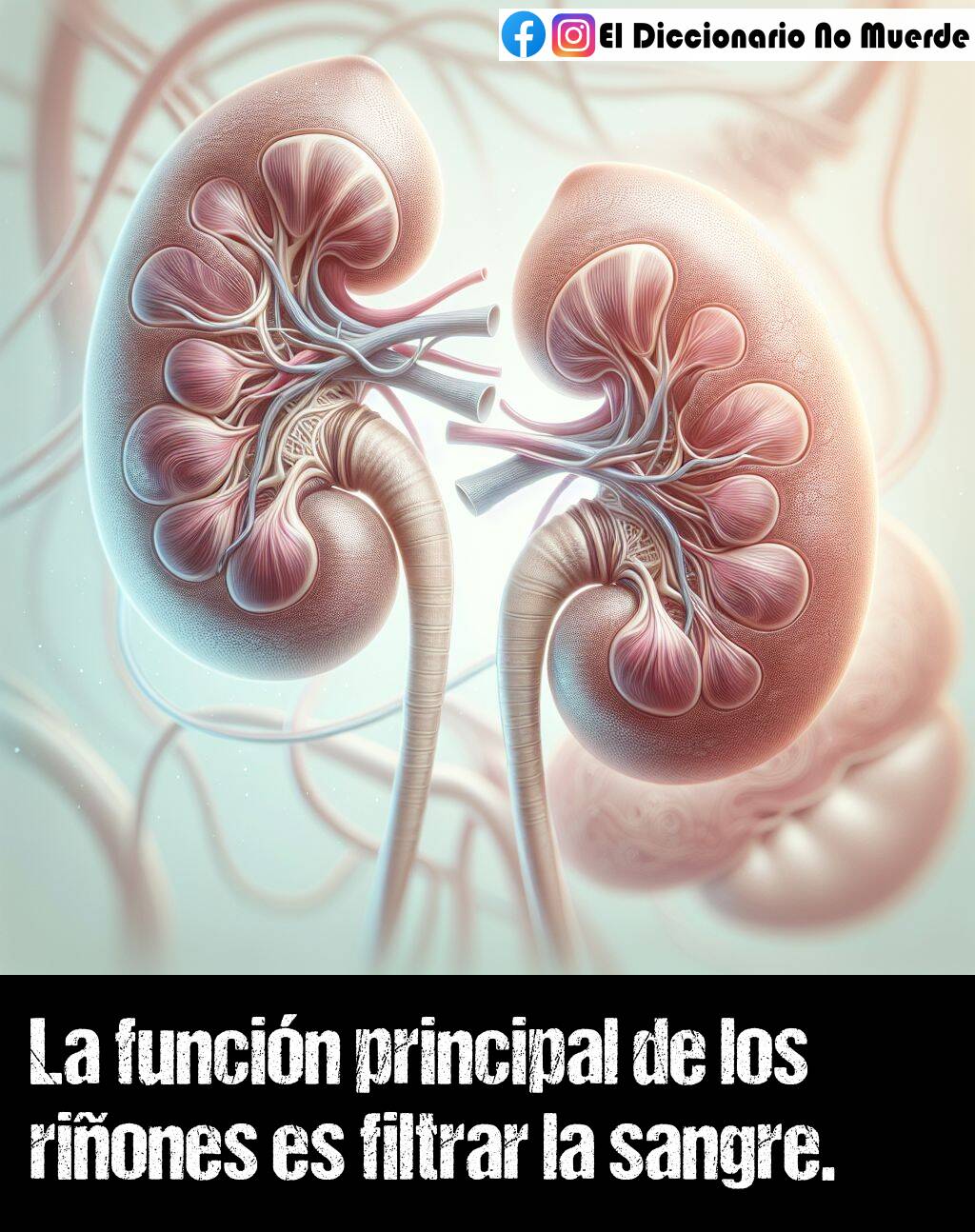 Significado de «filtrar»