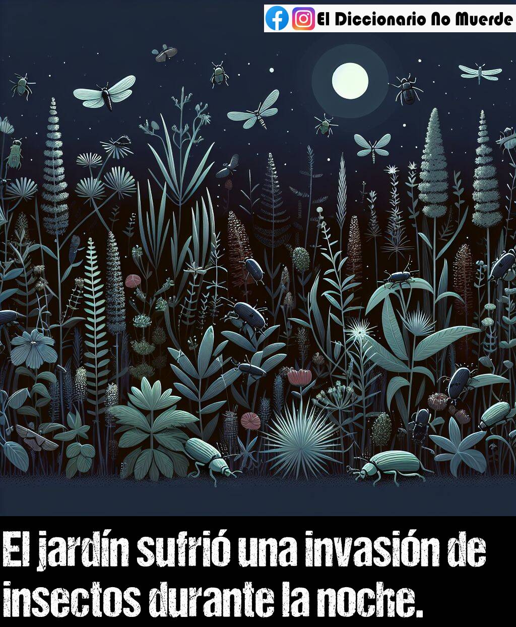 Significado de «insecto»