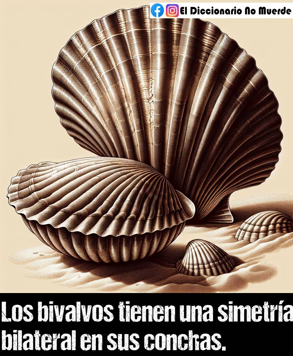 Significado de «concha»