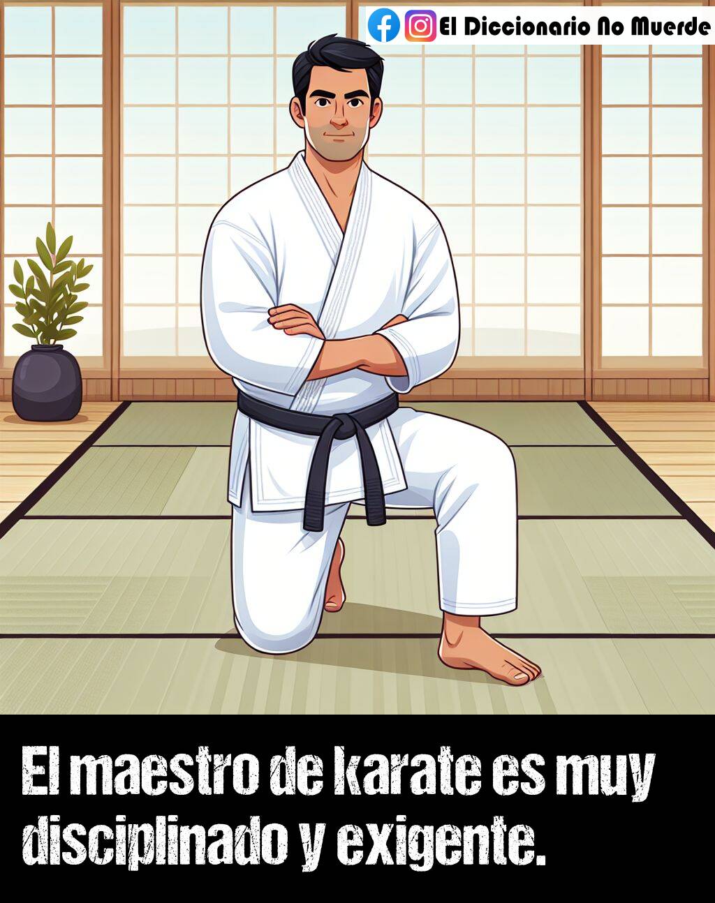Significado de «disciplinado (disciplinada)»
