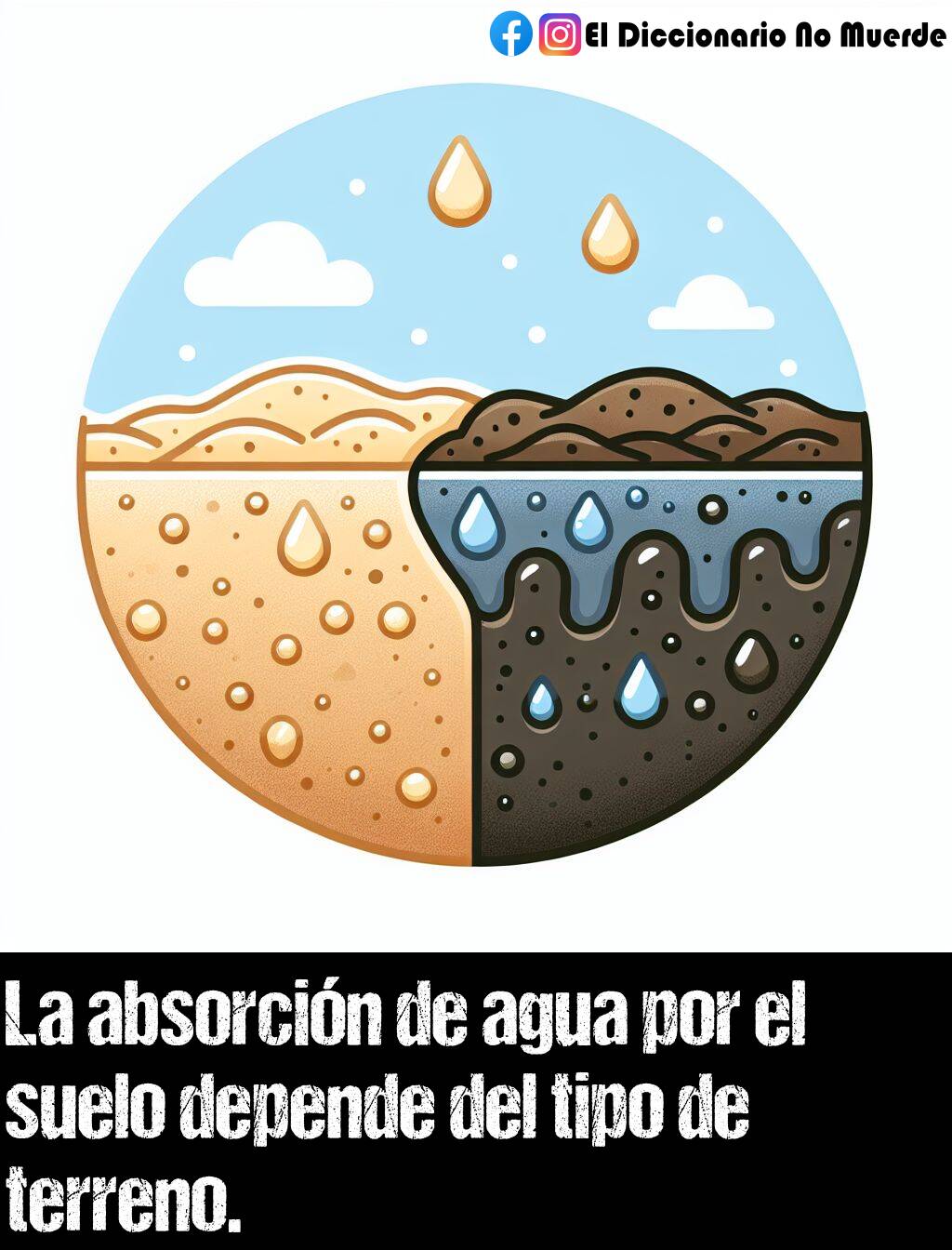 Significado de «tipo»