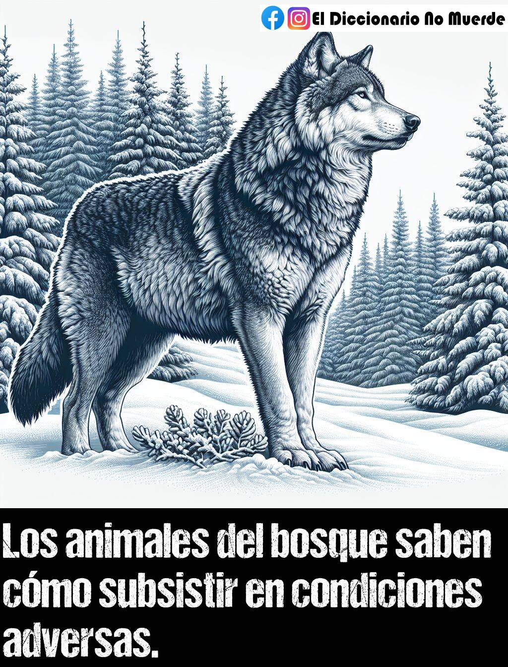 Significado de «adverso (adversa)»