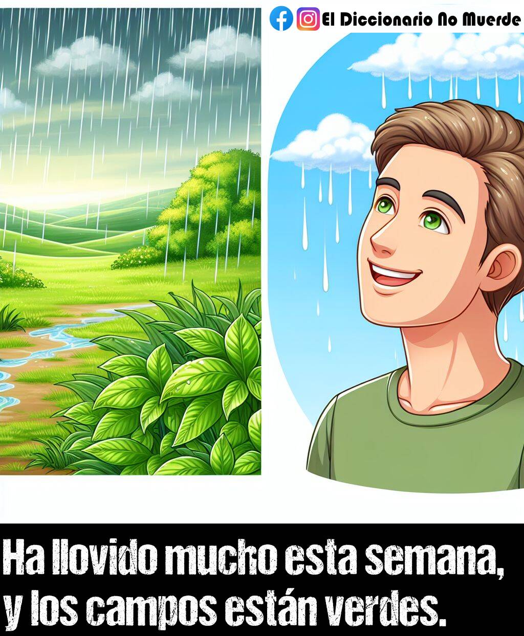 Significado de «llover»