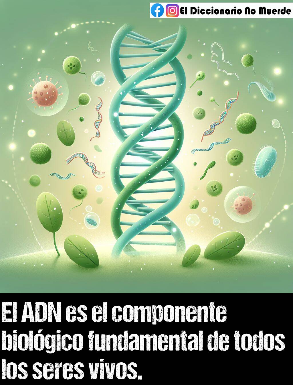 Significado de «ser»