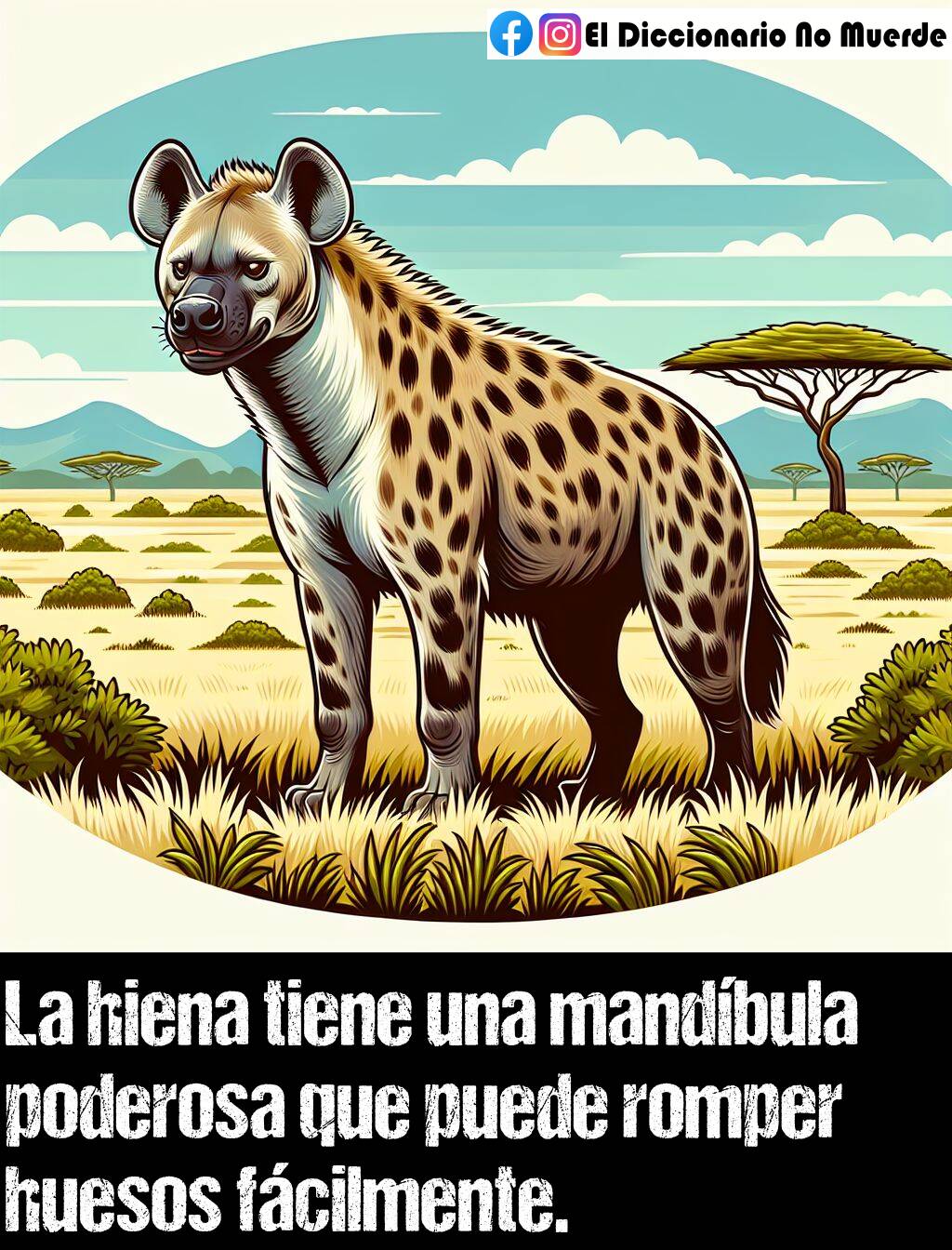 Significado de «romper»