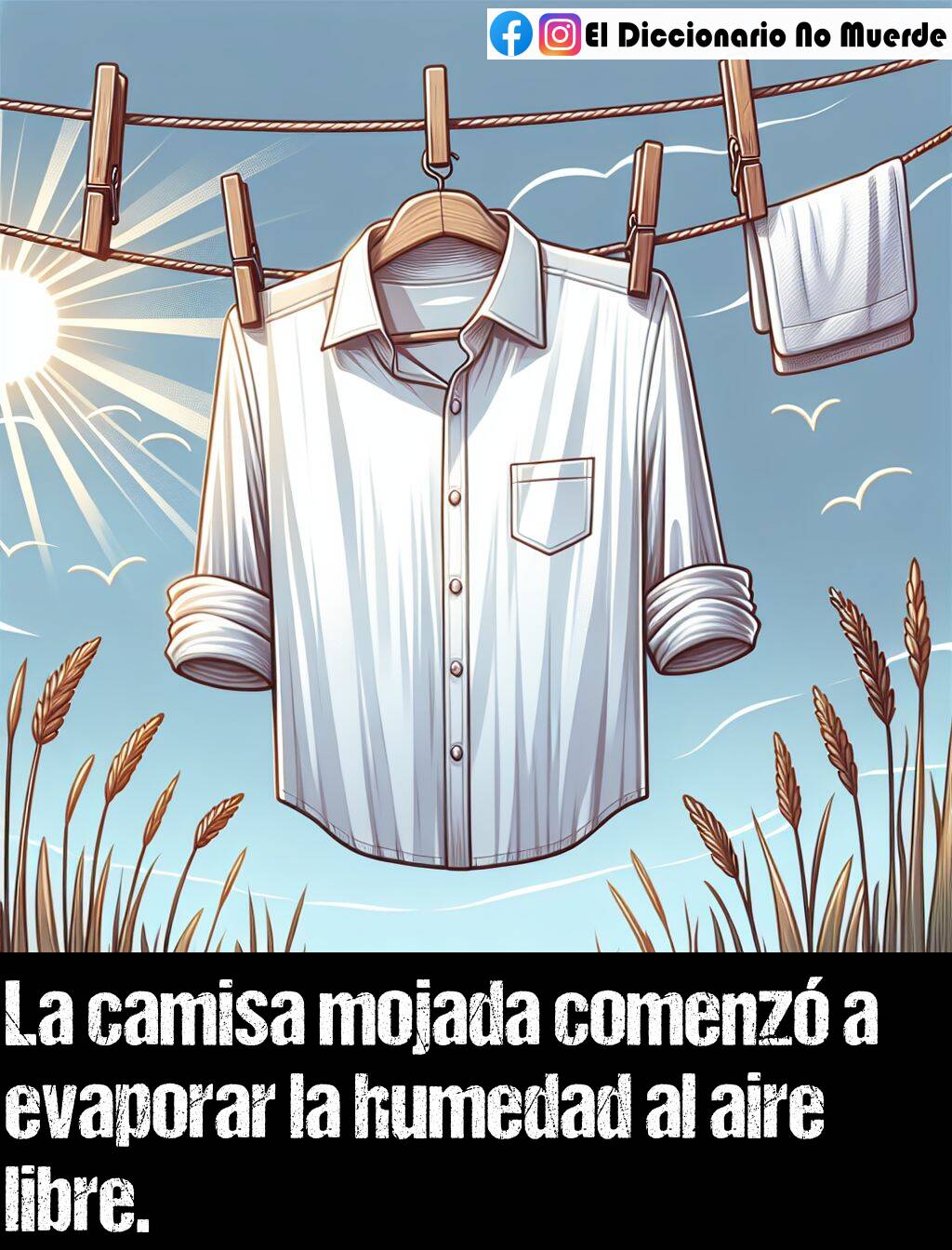 Significado de «mojado (mojada)»