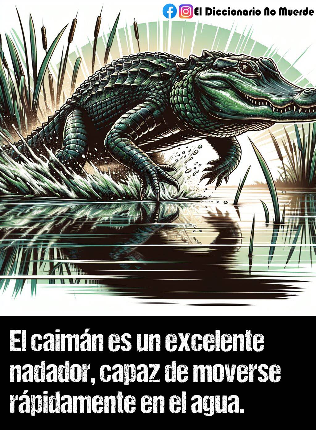 Significado de «excelente»