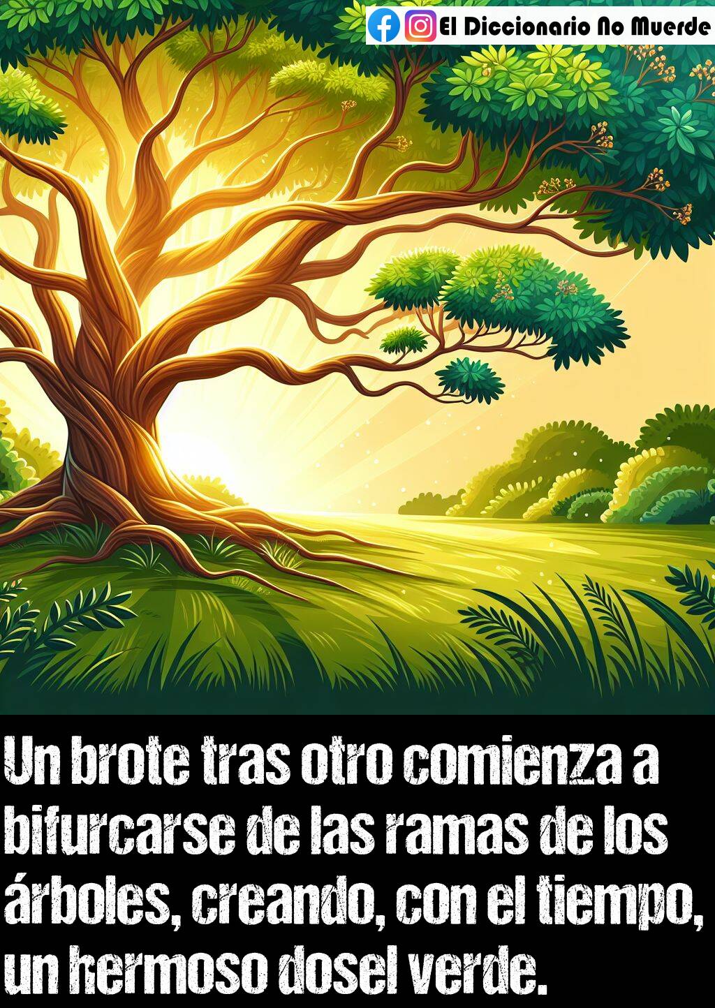 Significado de «tras»