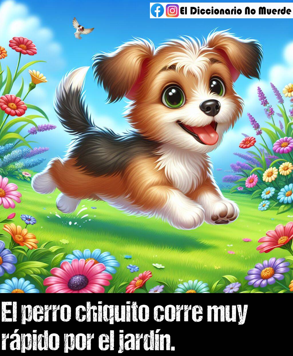 Significado de «chiquito (chiquita)»