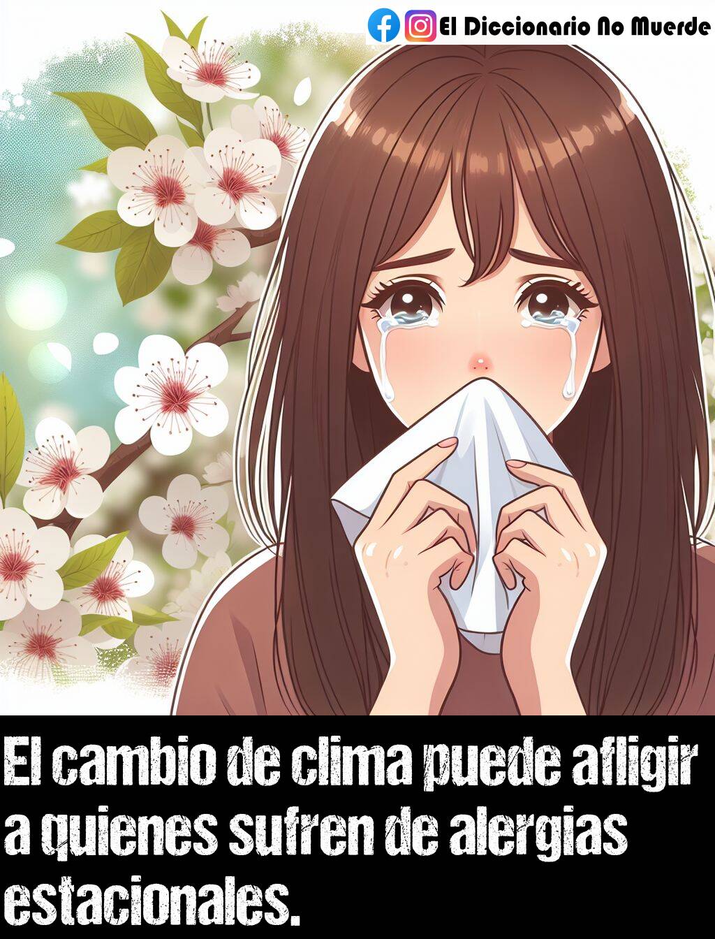 Significado de «quien»