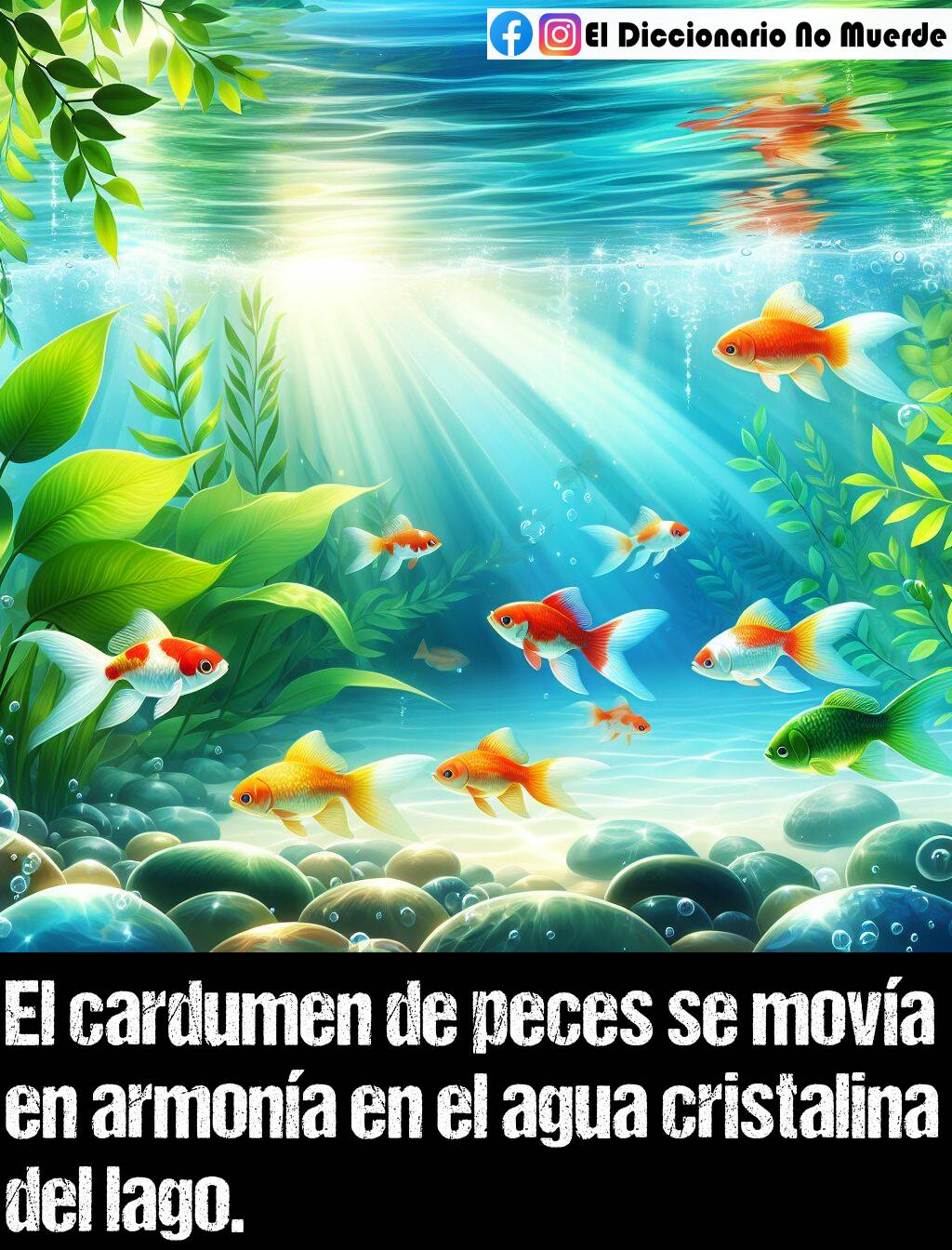 12 oraciones con «cardumen»