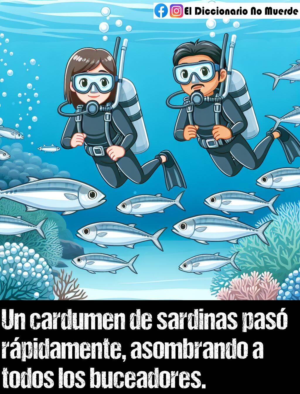 Significado de «pasó (conjugación)»