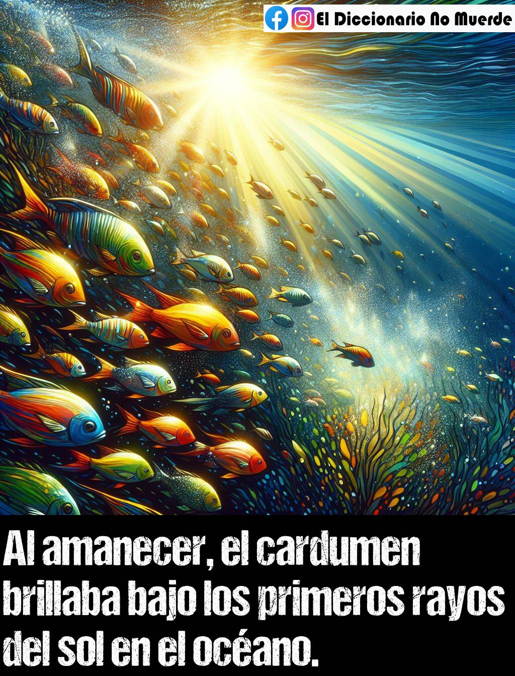 Significado de «primero (primera)»