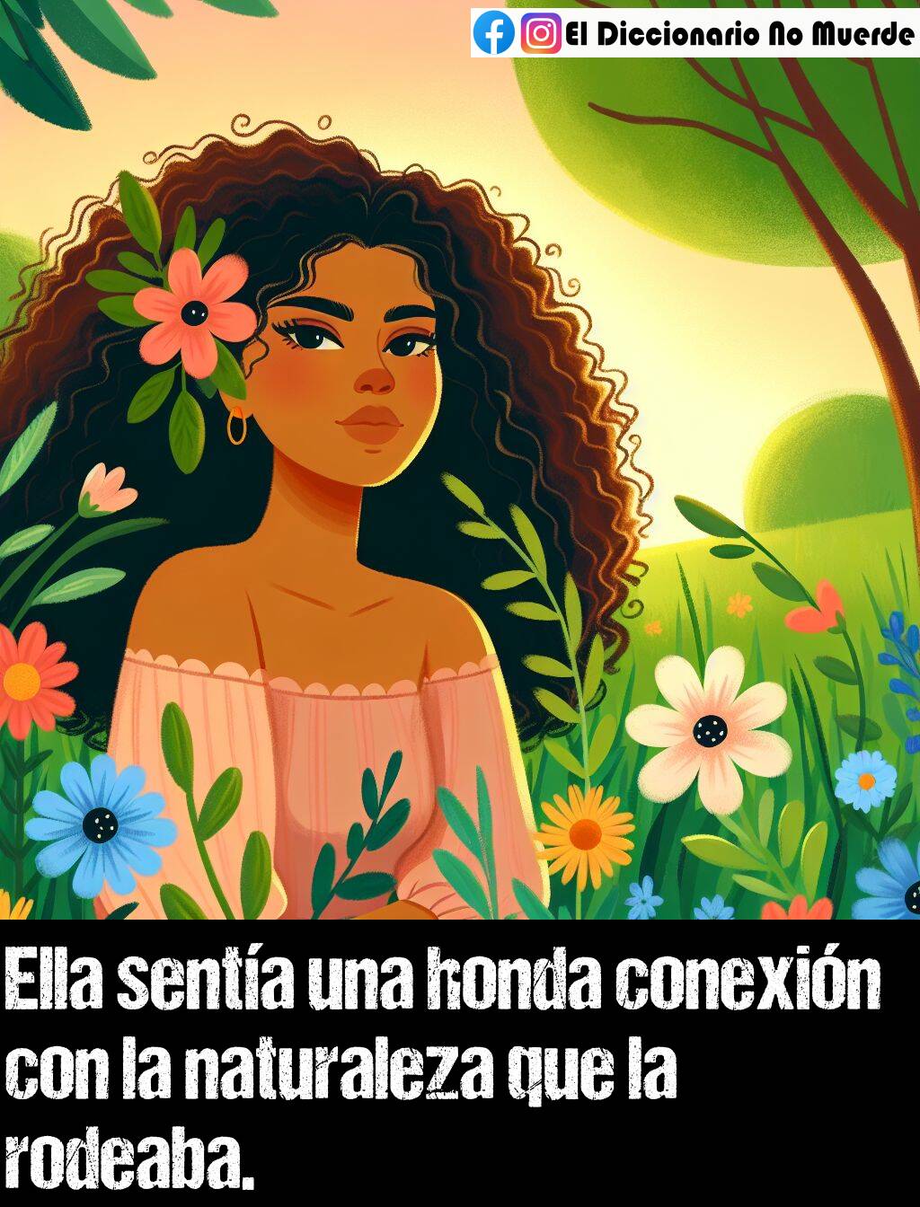 Significado de «conexión»