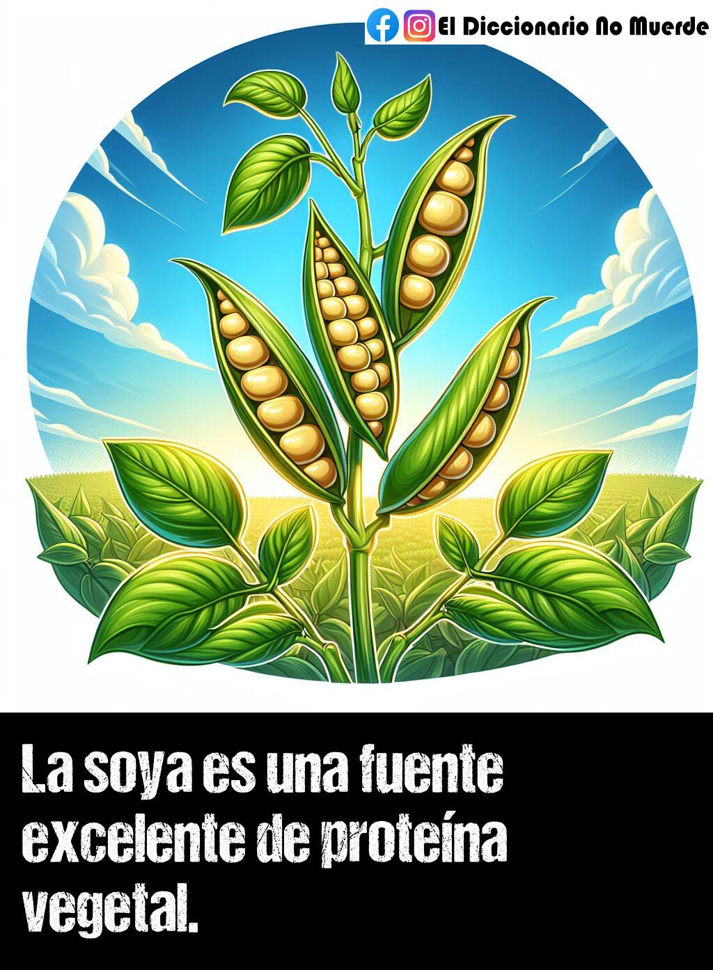 Significado de «excelente»