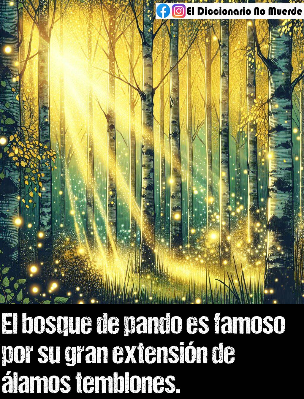 Significado de «extensión»