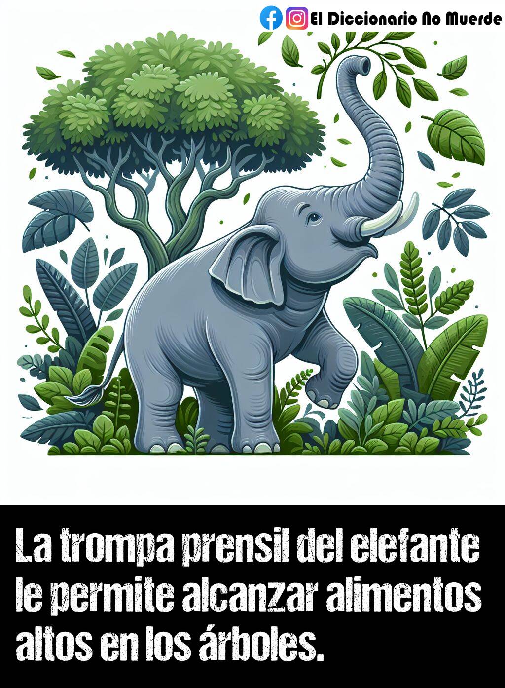 80 oraciones con «elefante»