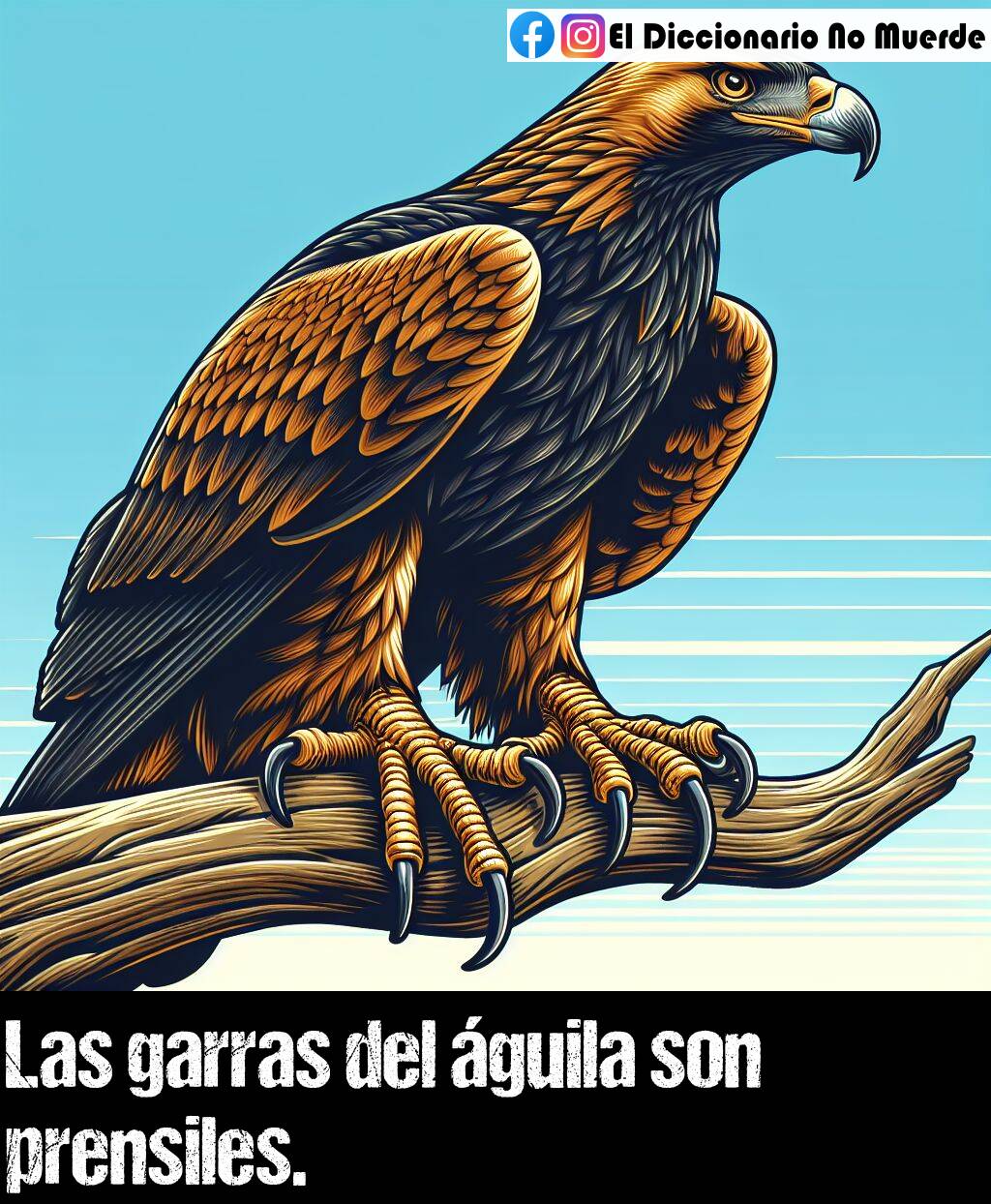 Significado de «garra»