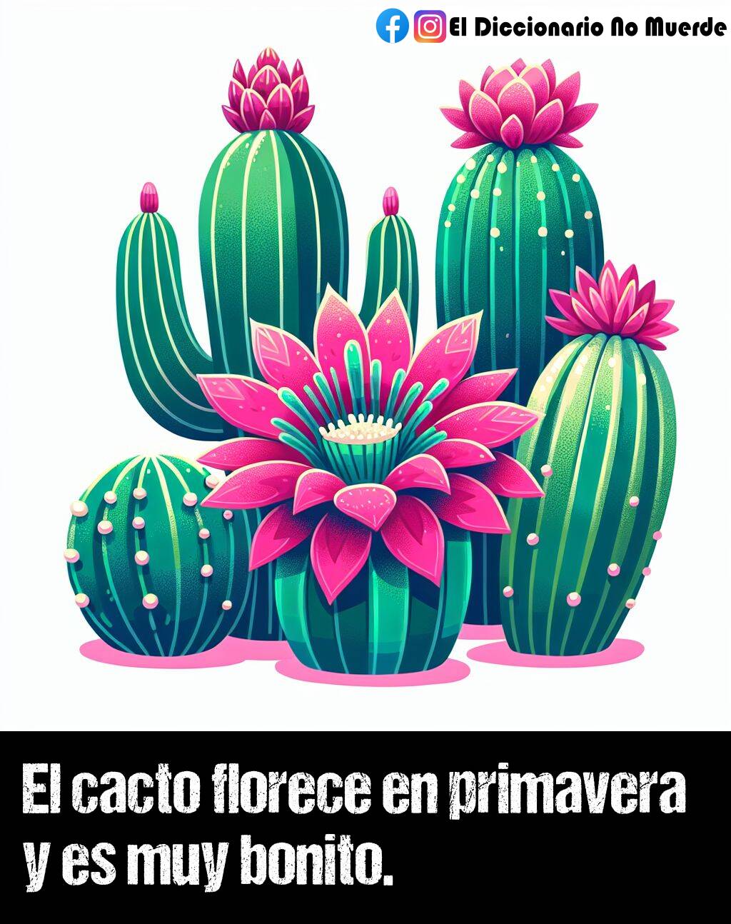 Significado de «florecer»