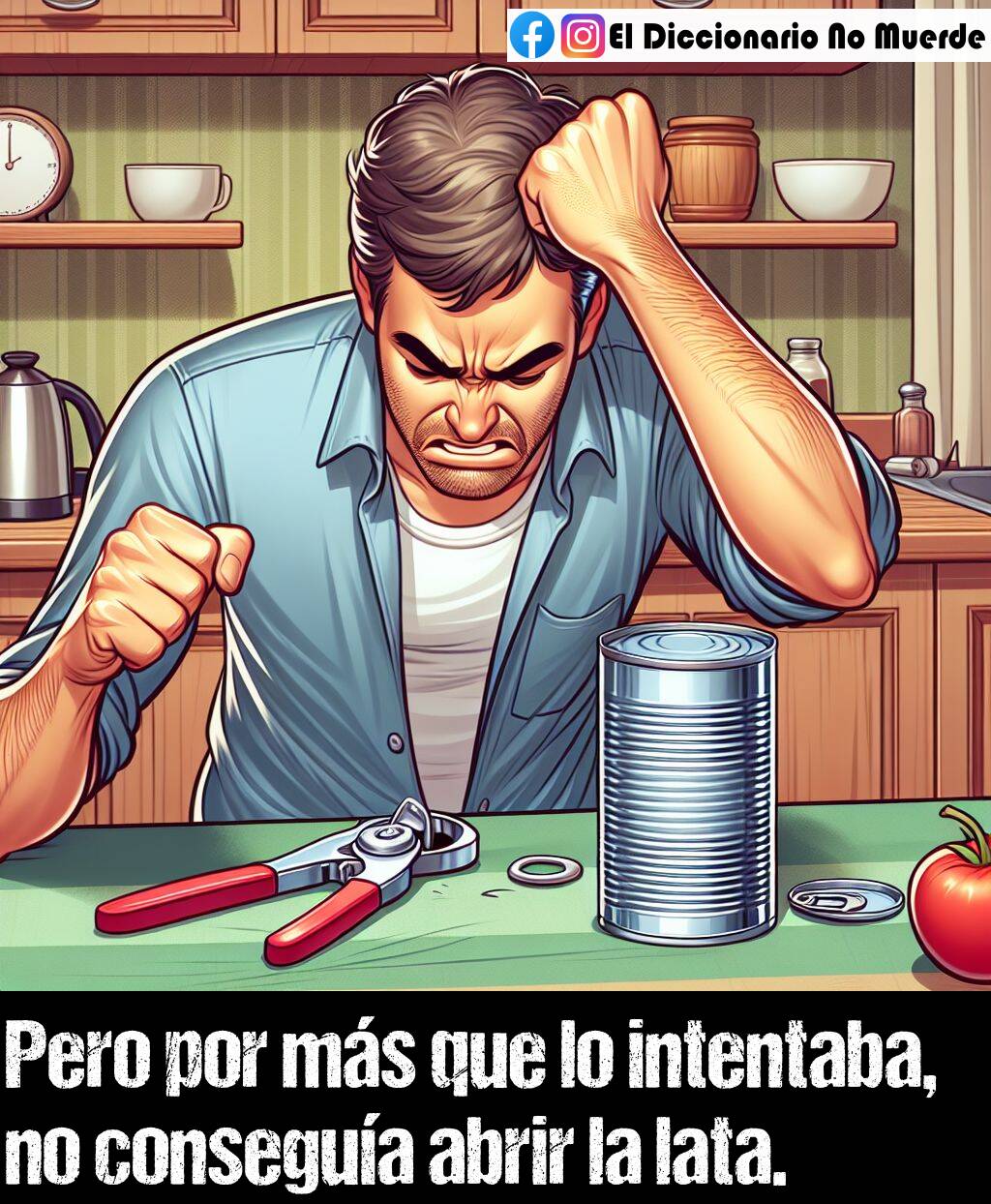 Significado de «lato (lata)»