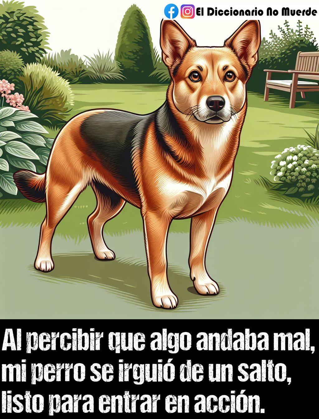 Significado de «erguir»