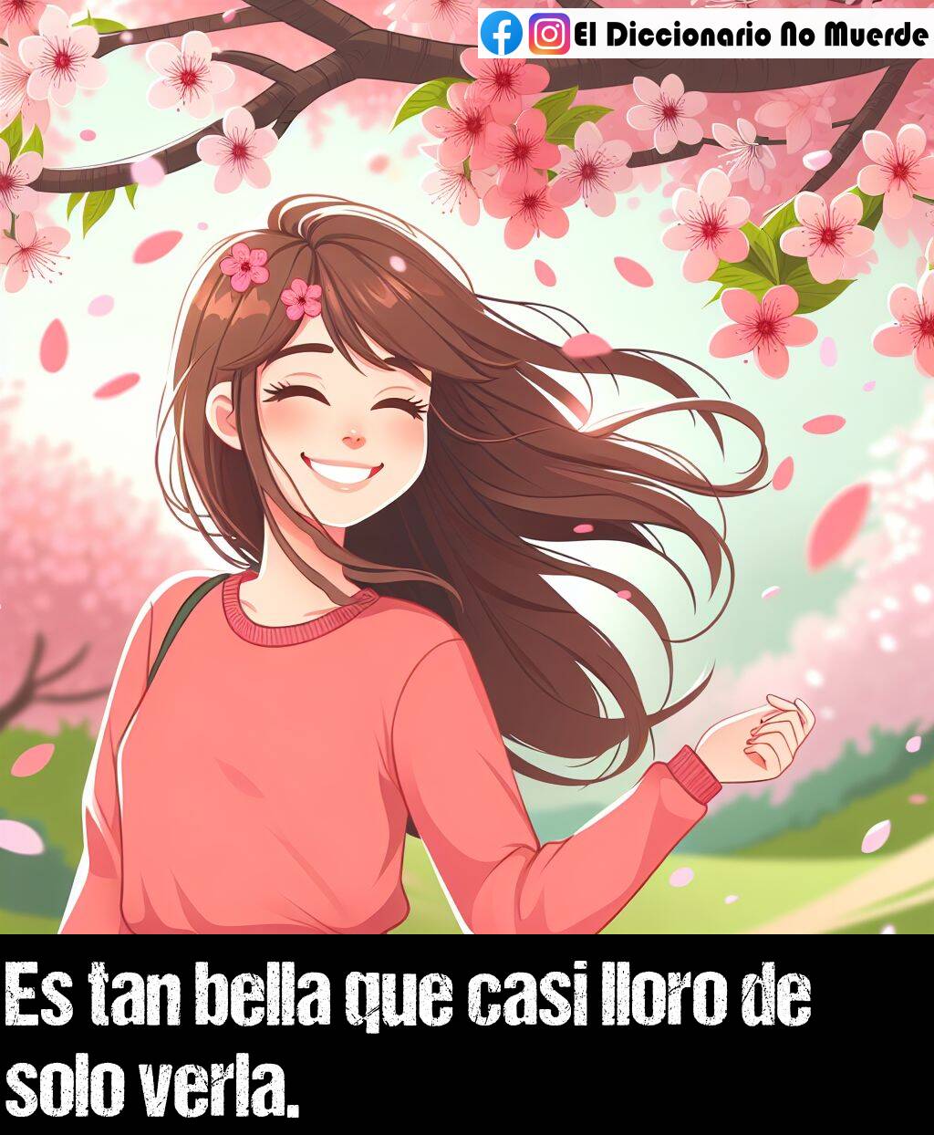 Significado de «bello (bella)»