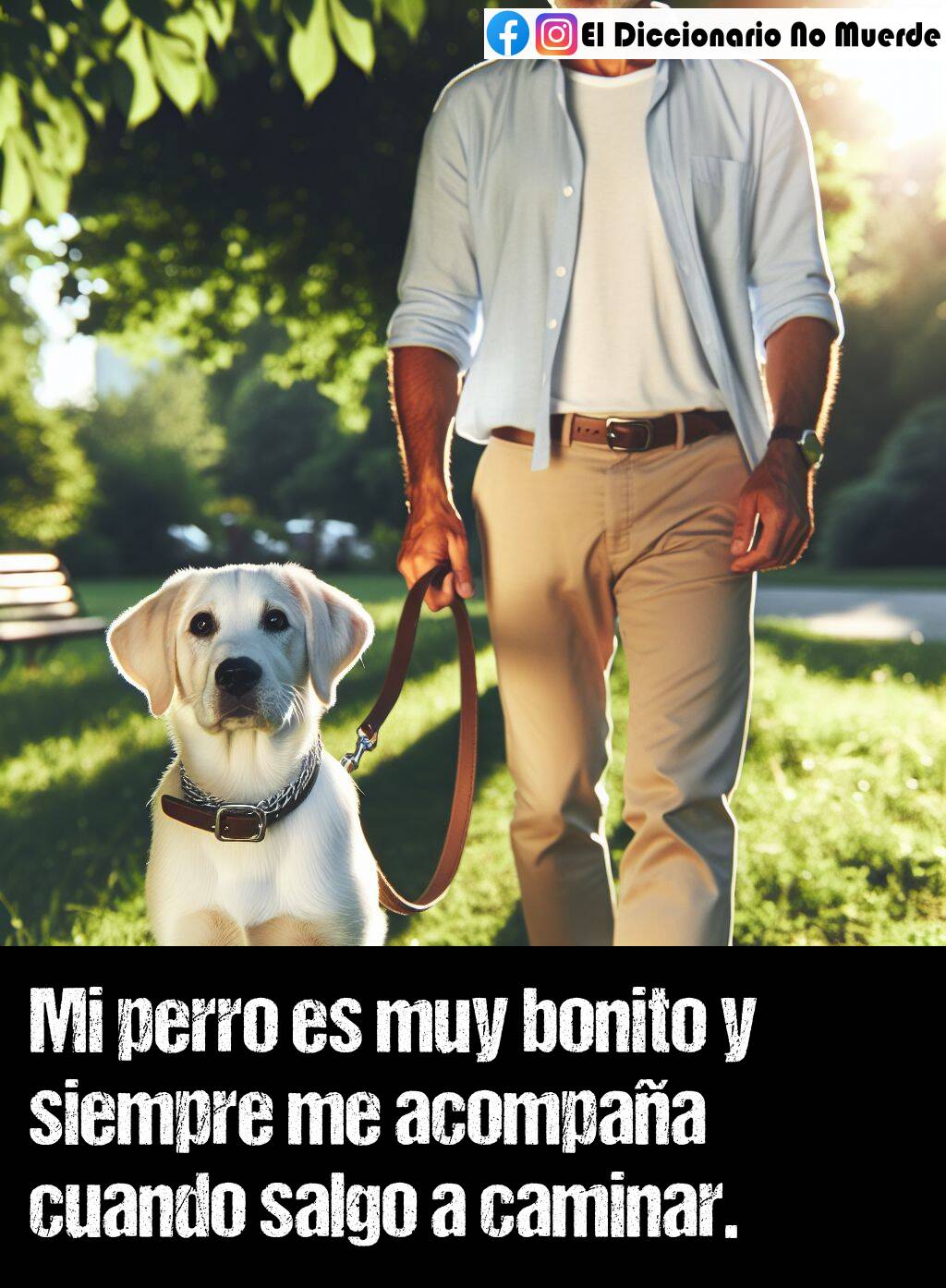 56 oraciones con «salgo»