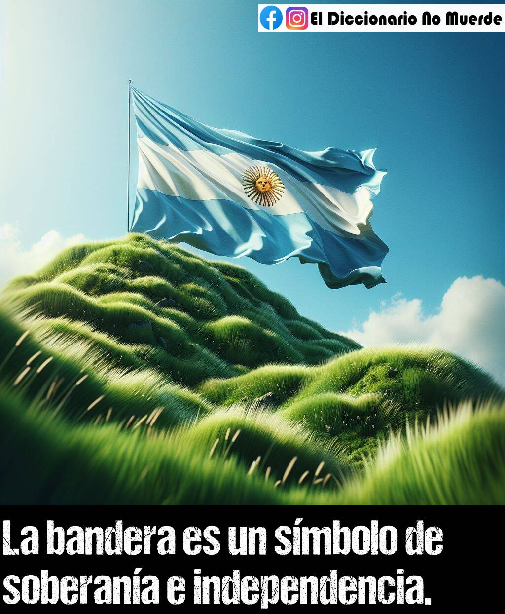 36 oraciones con «bandera»