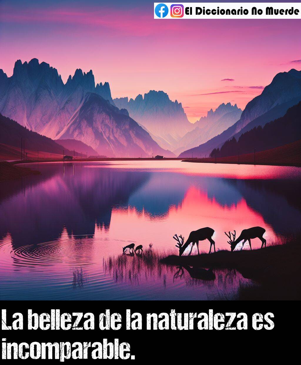 Significado de «incomparable»