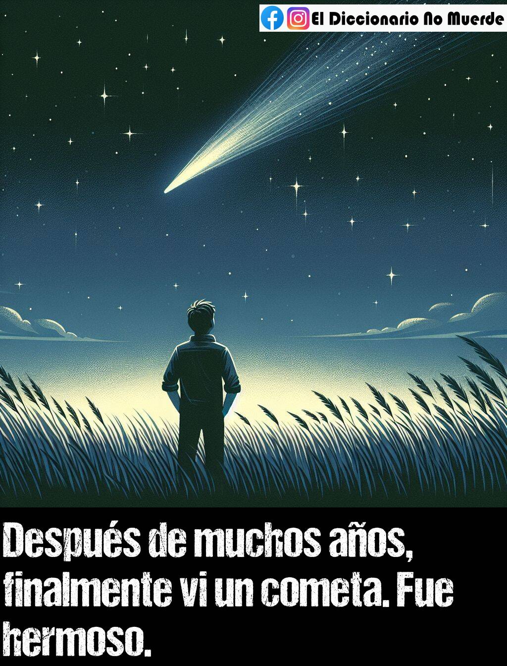 40 oraciones con «ver»