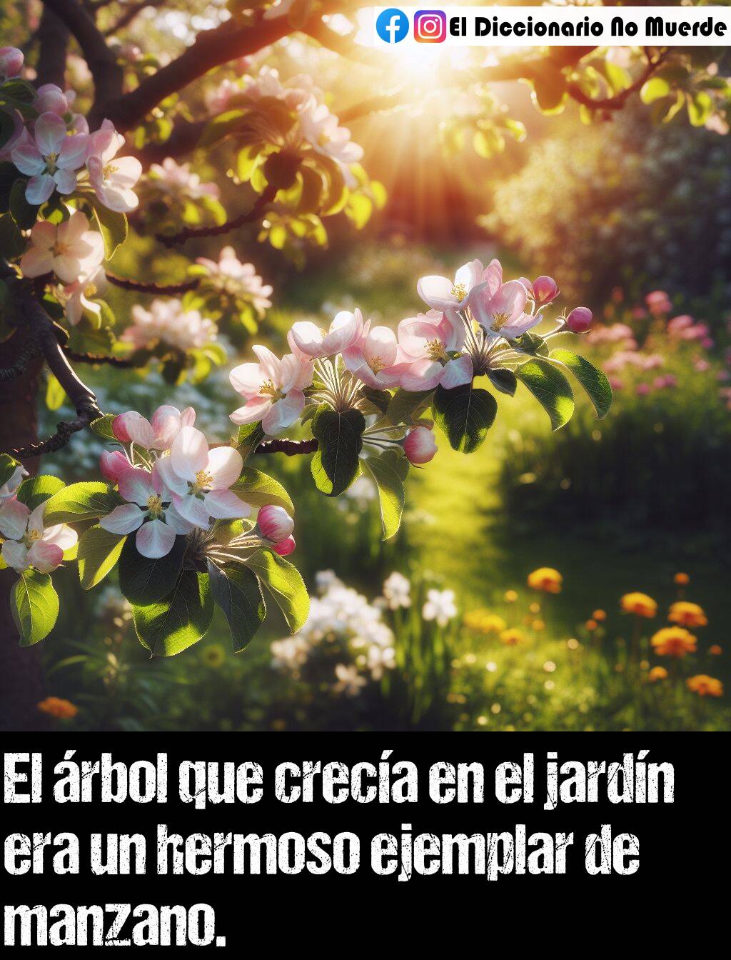 Significado de «ejemplar»