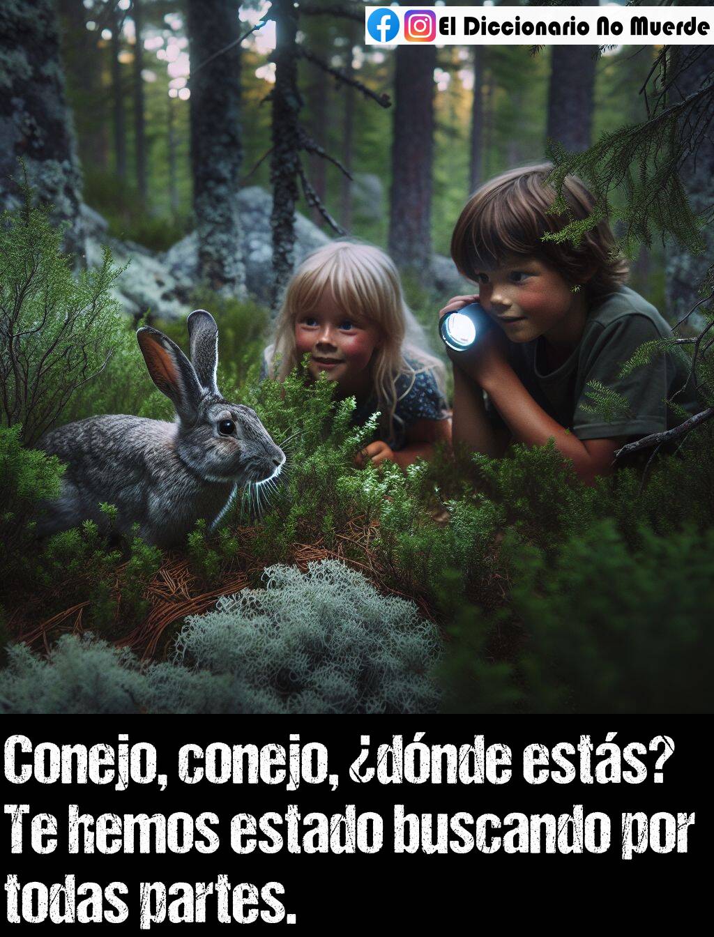 Significado de «hemos (conjugación)»