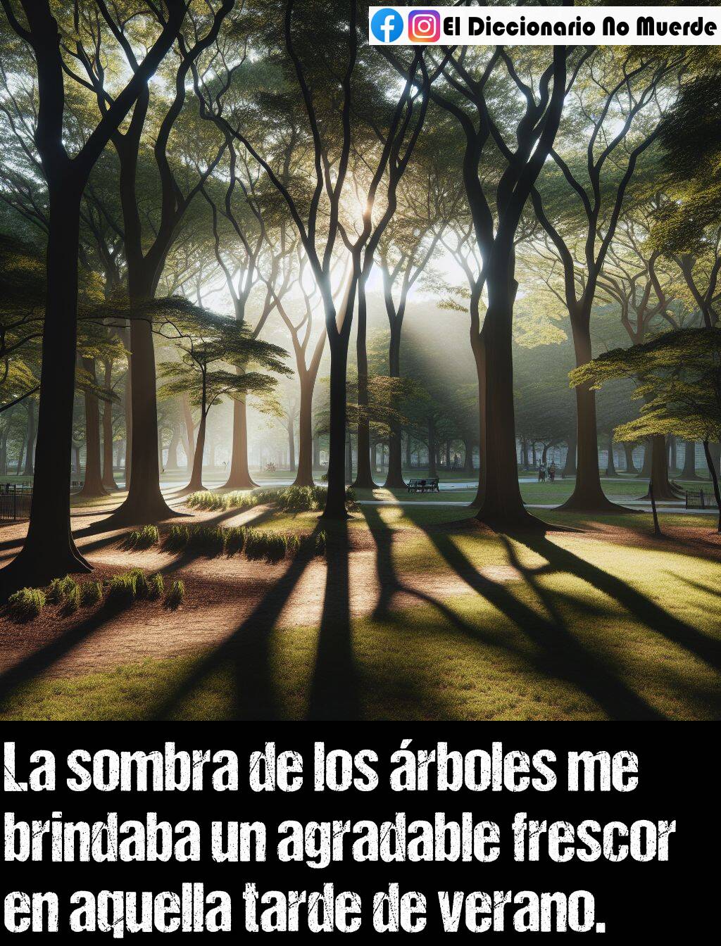 40 oraciones con «verano»