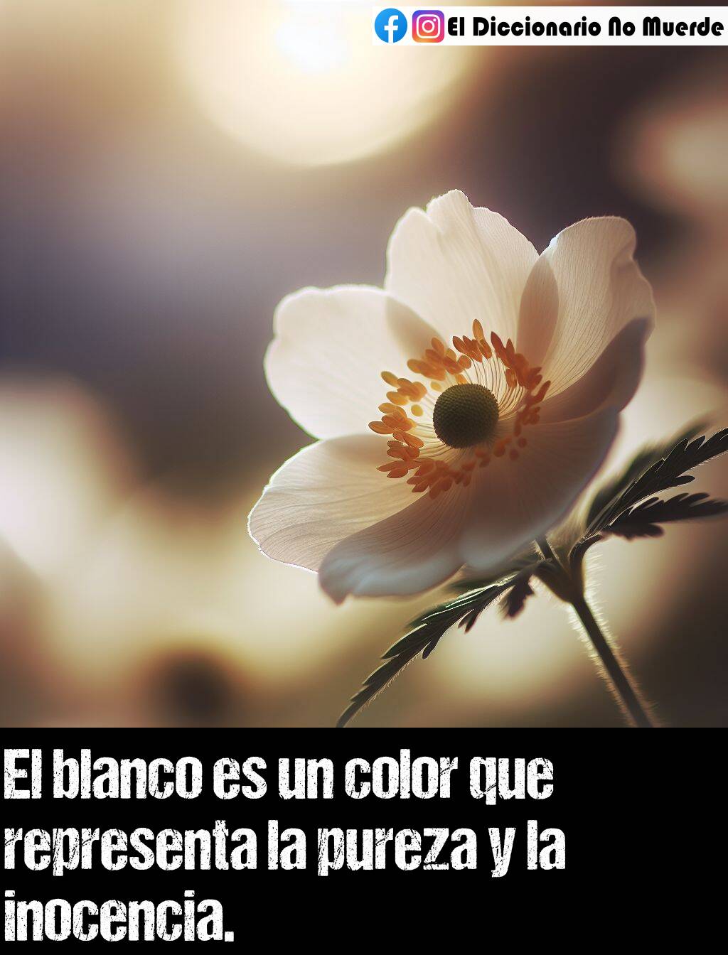 Significado de «pureza»