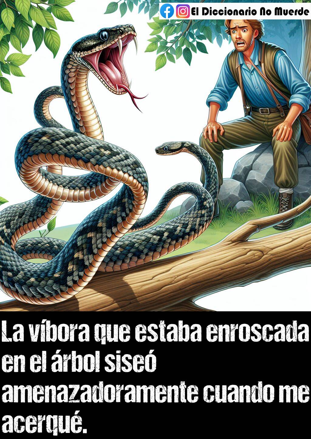 20 oraciones con «sisear»