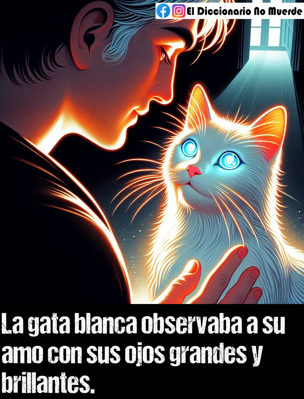 Significado de «amo»