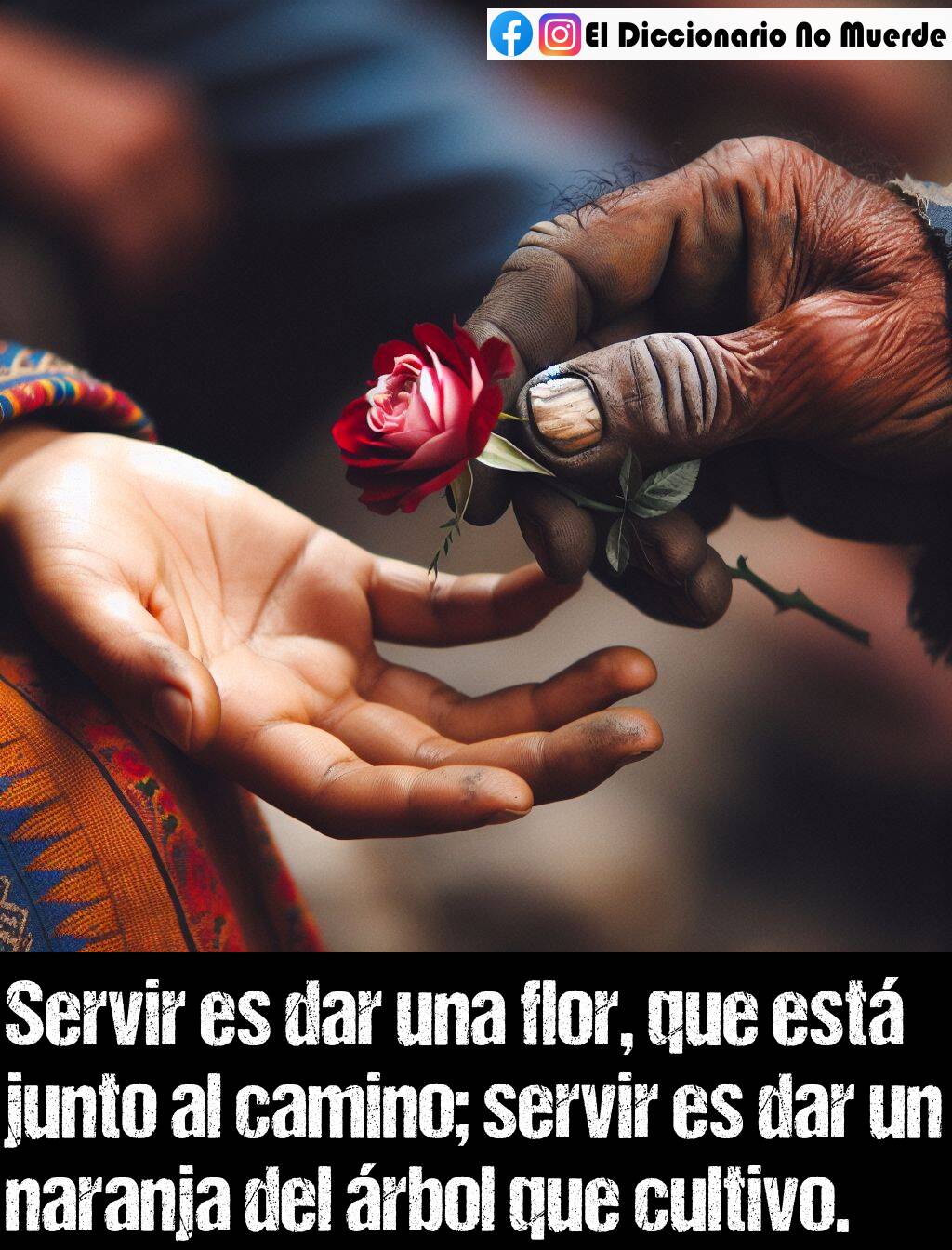 120 oraciones con «servir»