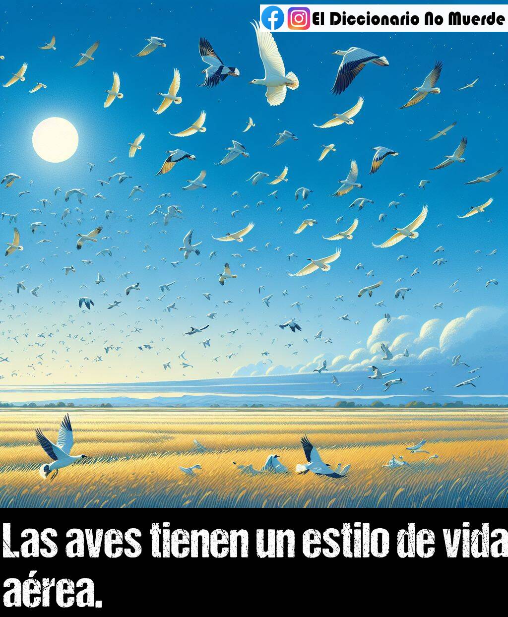 Significado de «estilo»