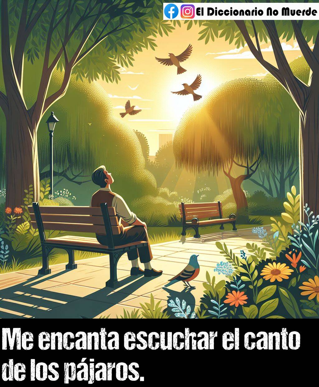 Significado de «canto»