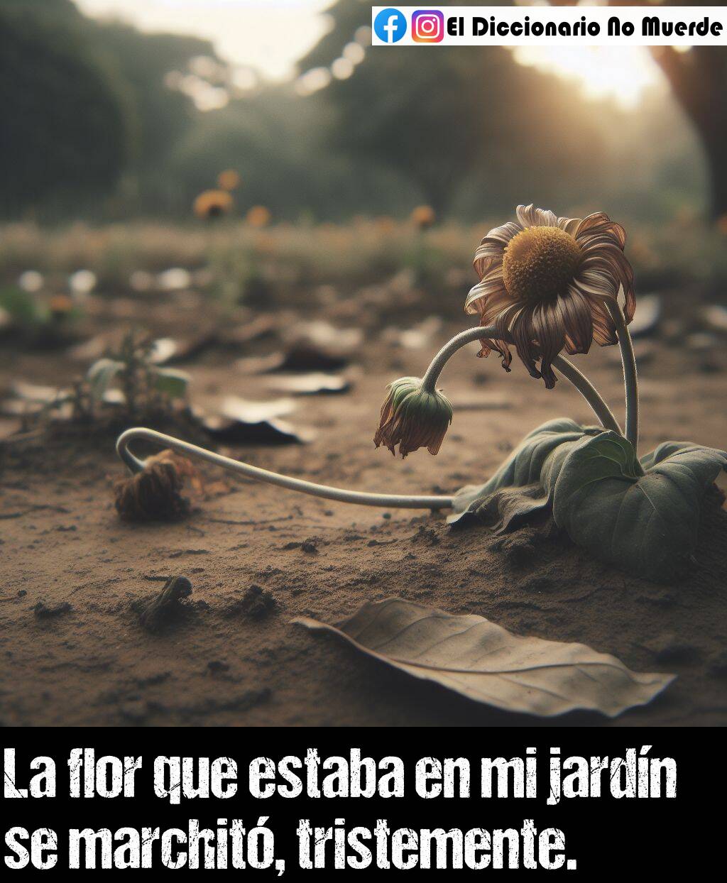 Significado de «marchitar»