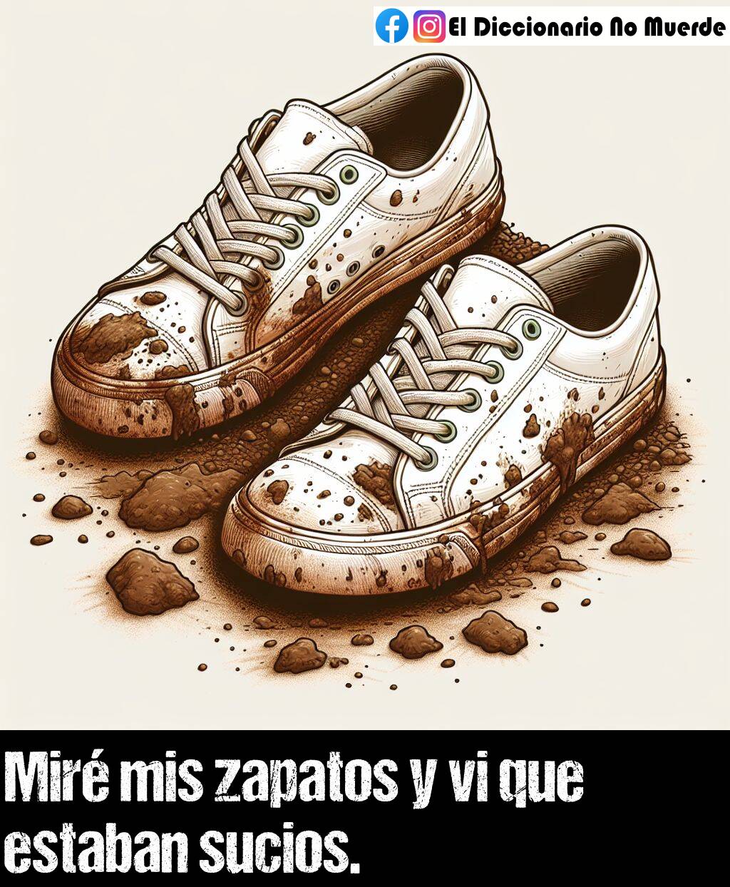 Significado de «sucio (sucia)»