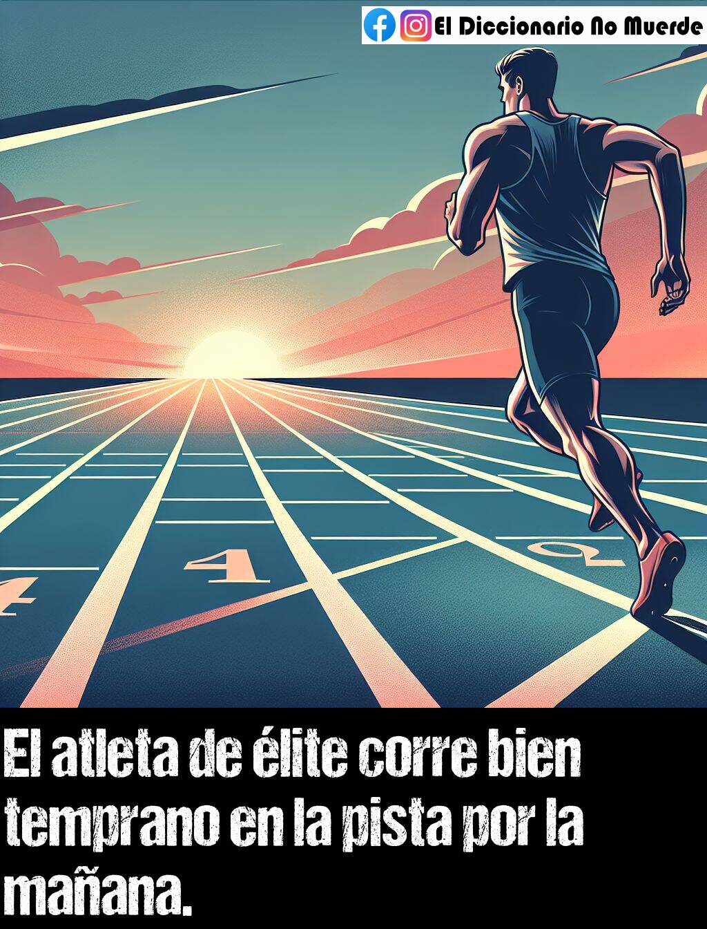 33 oraciones con «pista»