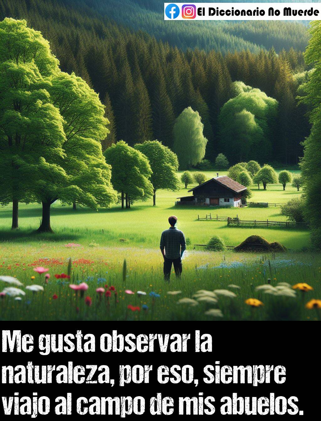 120 oraciones con «observar»