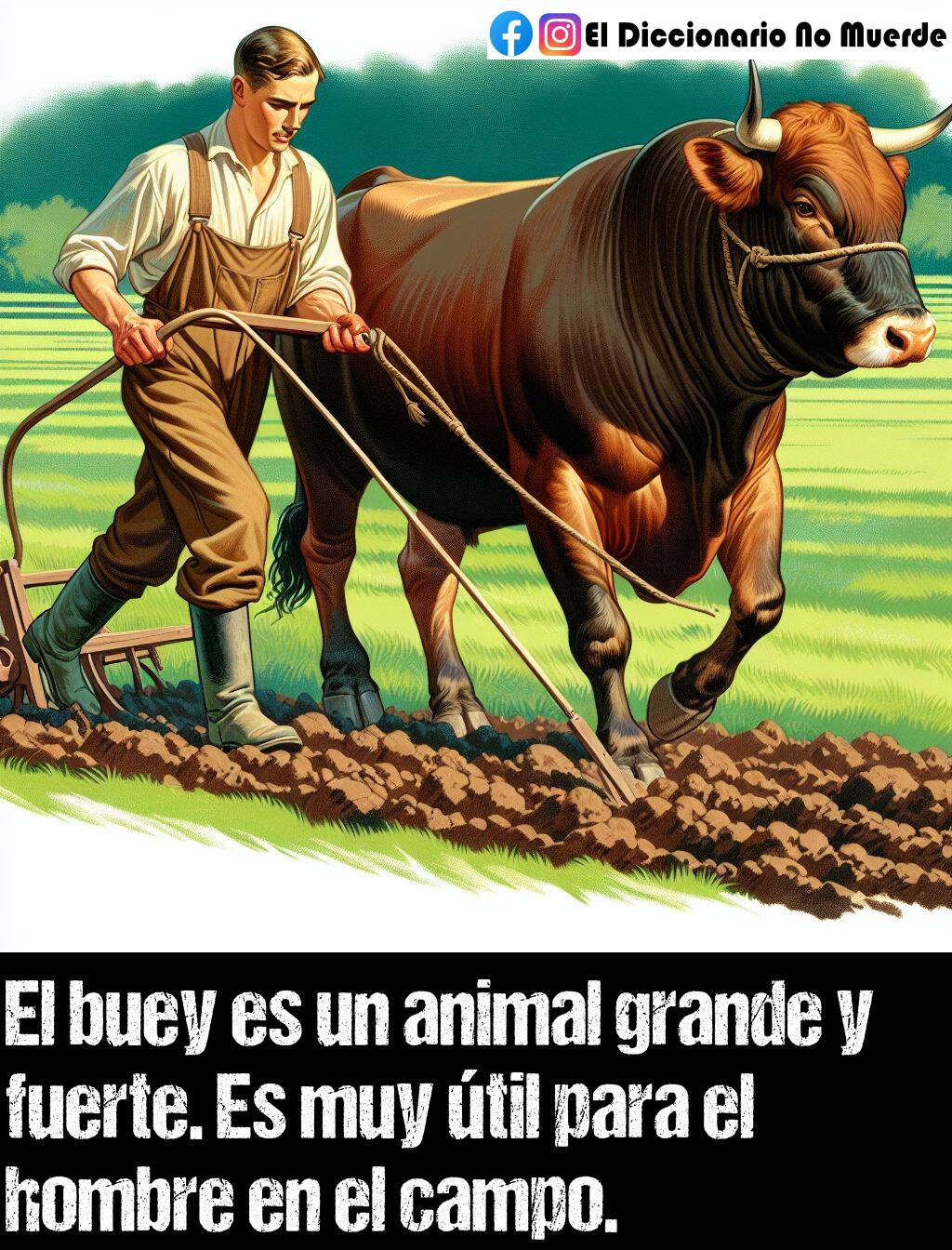 Significado de «buey»