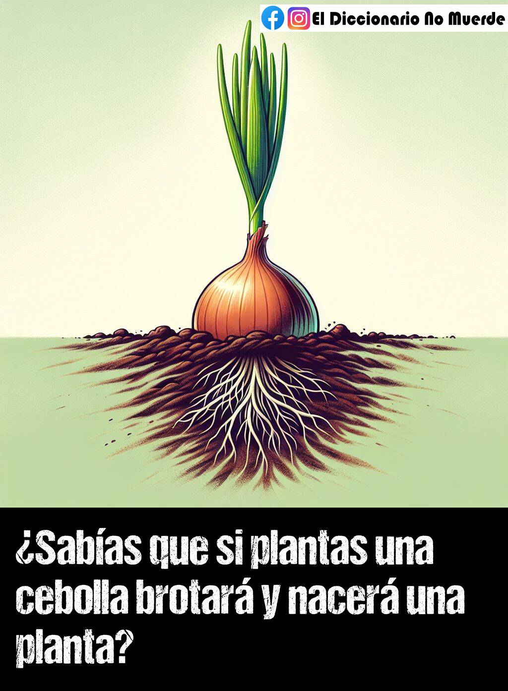 36 oraciones con «si»