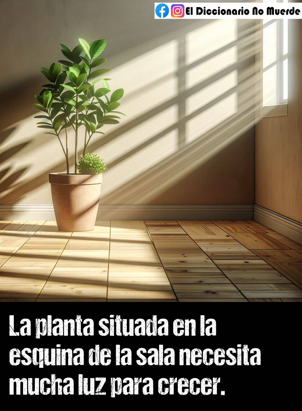 Significado de «situar»