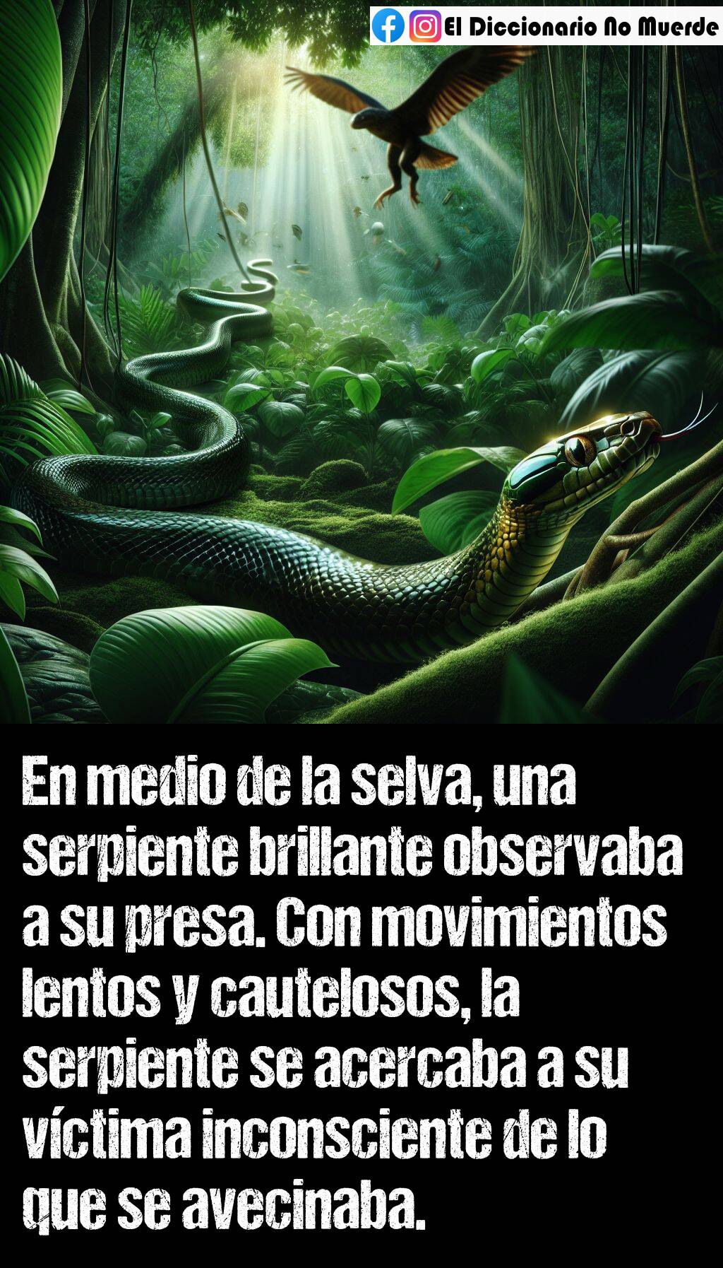 Significado de «cauteloso (cautelosa)»