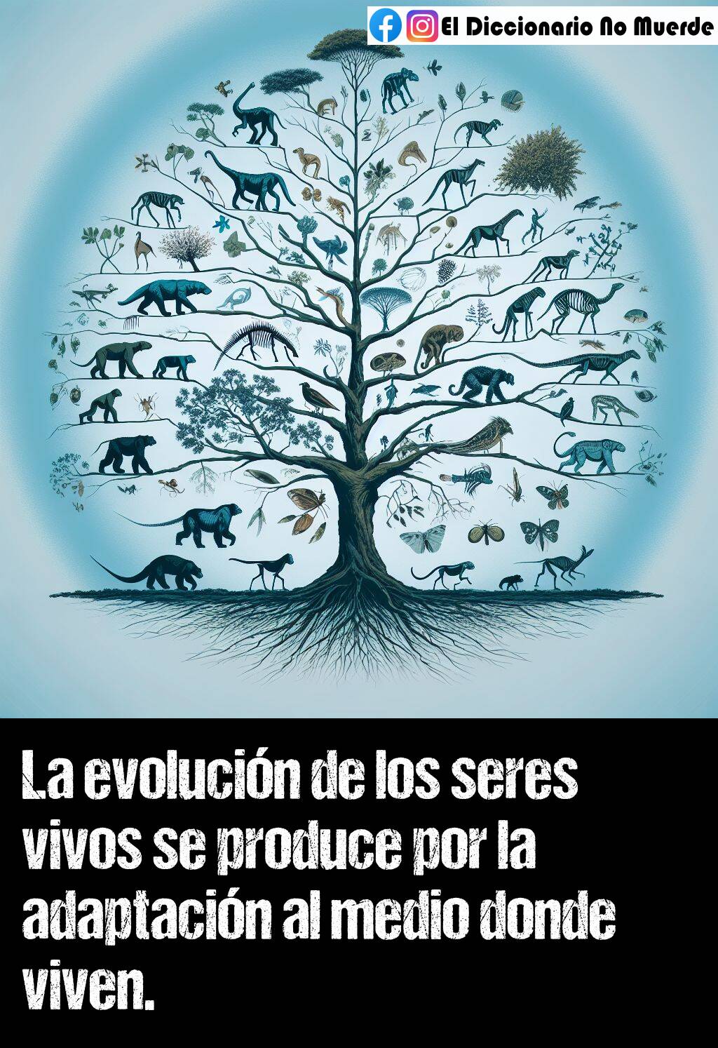 38 oraciones con «adaptación»