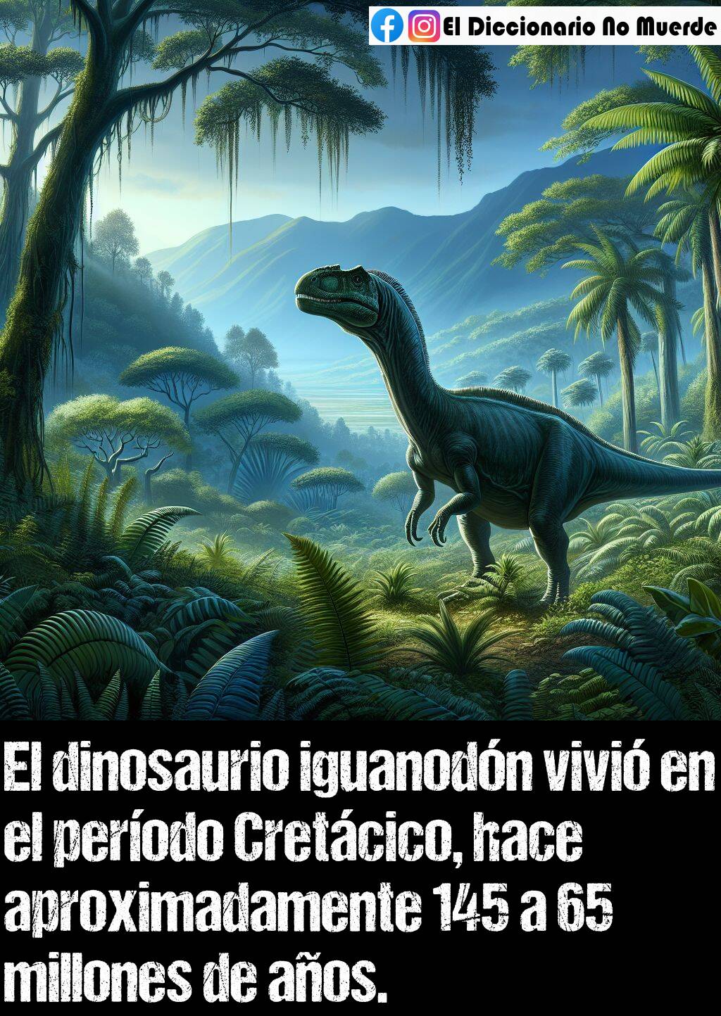 40 oraciones con «período»