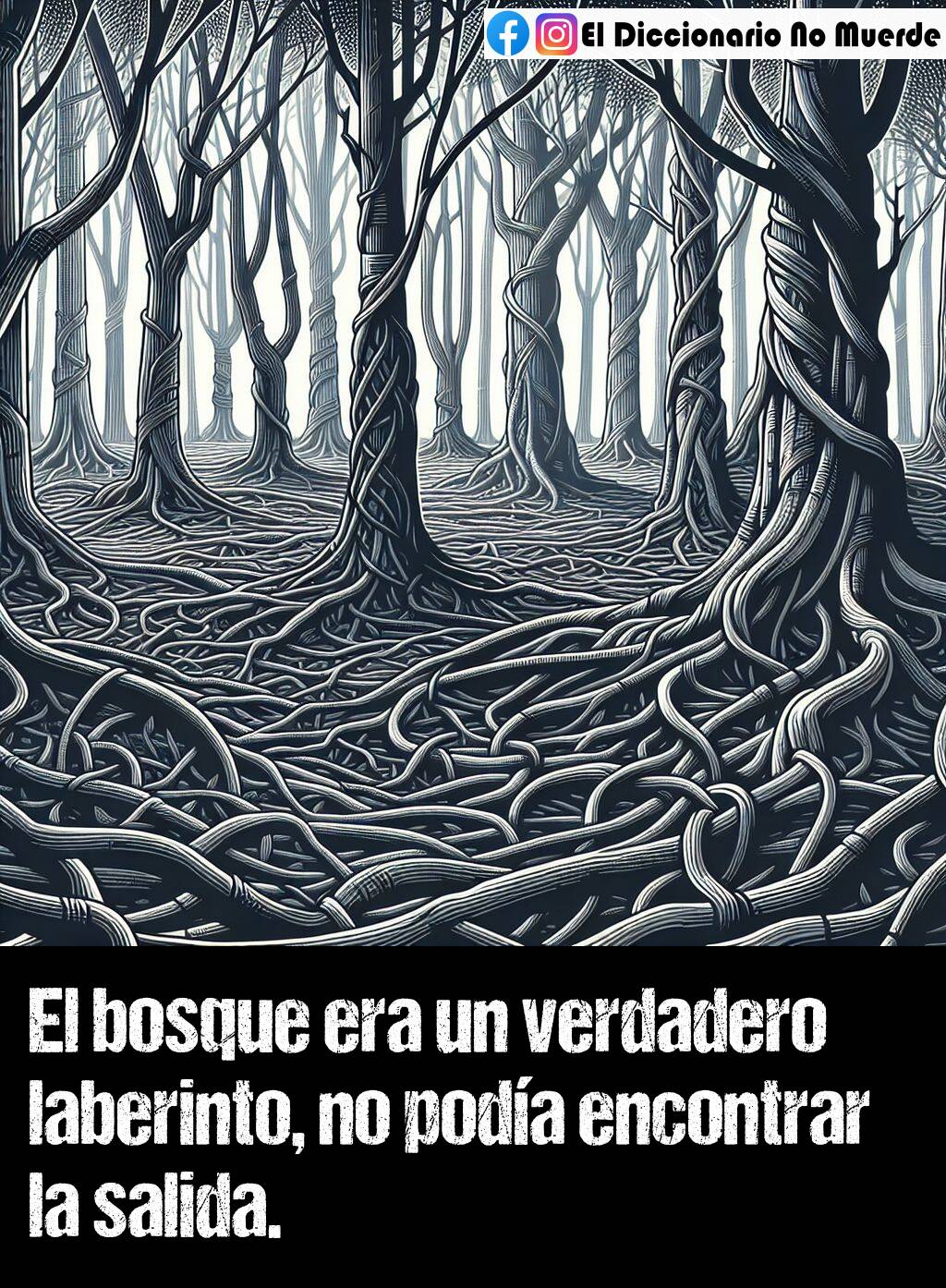Significado de «salido (salida)»